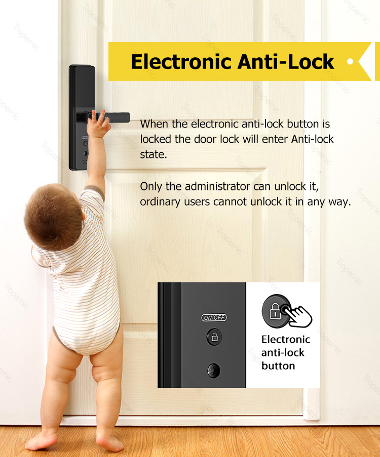 5 In 1 Tuya WiFi Smart Door Lock App Remote Unlock Fingerprint Password ...
