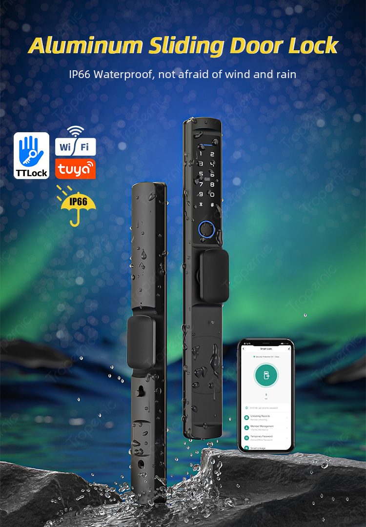 Tuya/TTLOCK Waterproof Smart Door Lock Anti Theft Zinc Alloy Sliding ...