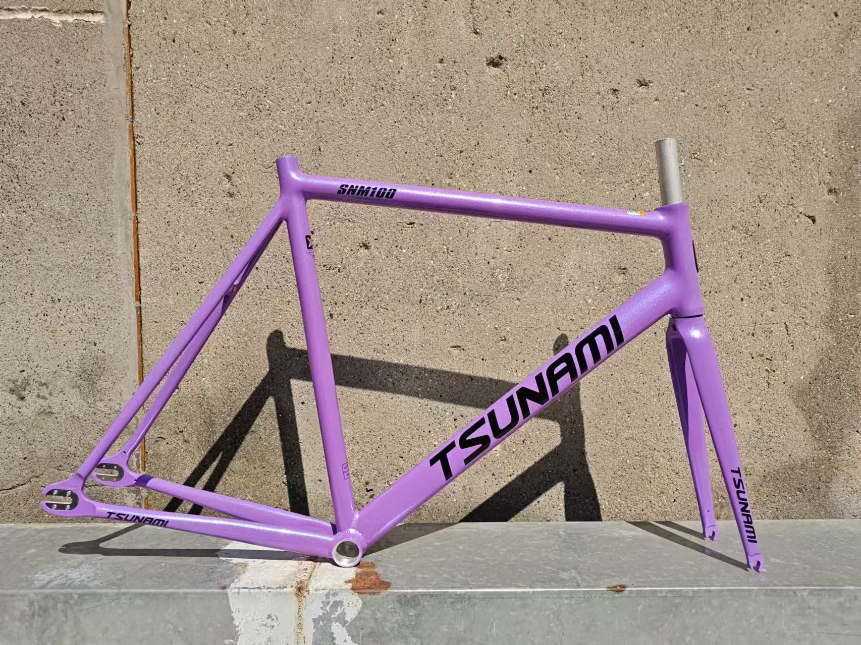 TSUNAMI 2025 New Style SNM100 Fixed Gear 700c Aluminum 49cm 52cm 55cm ...