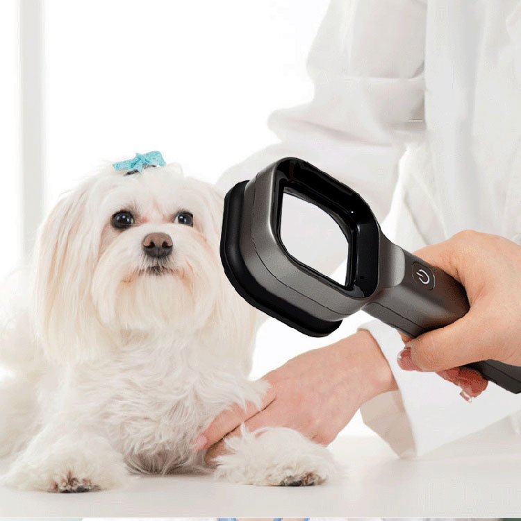 Woods Light Skin Examination For Cat Dog Ringworm Handheld UV Wood's ...