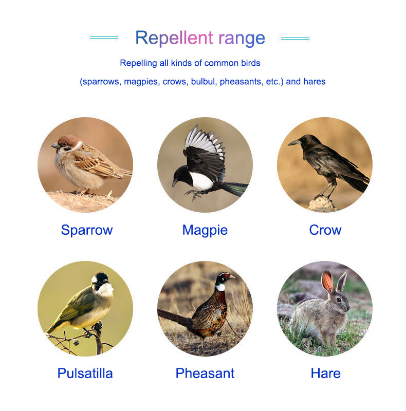 【No Birds within 10000 meters】 IOO Bird repellent outdoor Pigeons ...