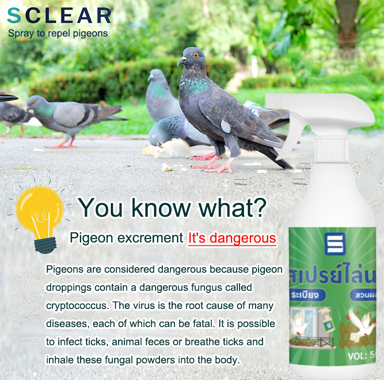 【No Birds within 10000 meters】 IOO Bird repellent outdoor Pigeons ...