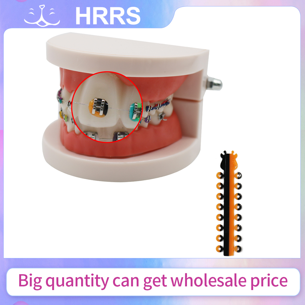 【Limited 8.21-8.31】[Two Tone]320Pcs/Box Dental Dual Color Elastic ...
