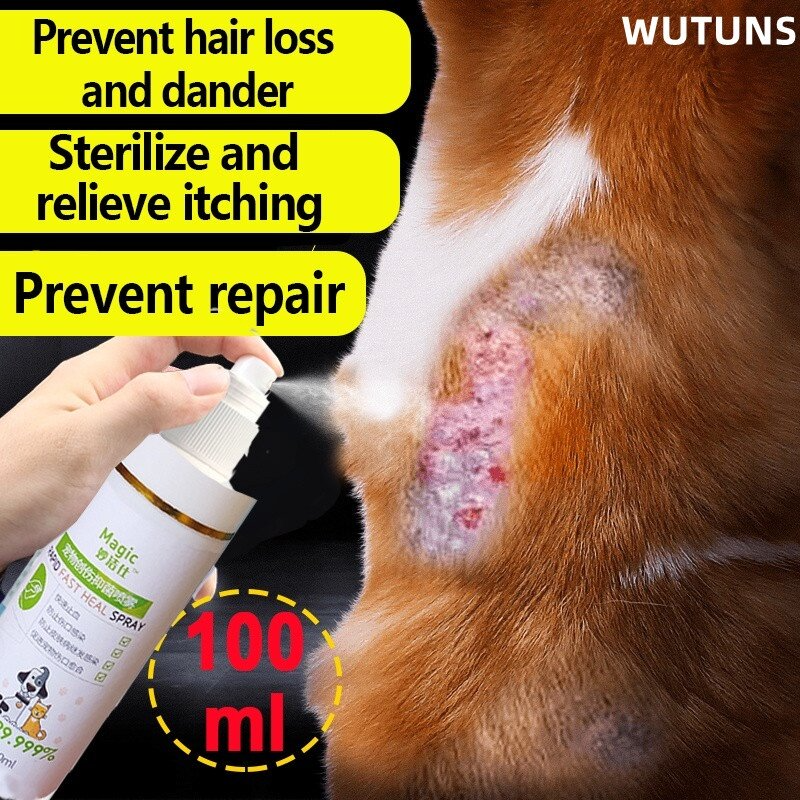 Best effective cat cancer medicine dog medicine sporo cat wound ...