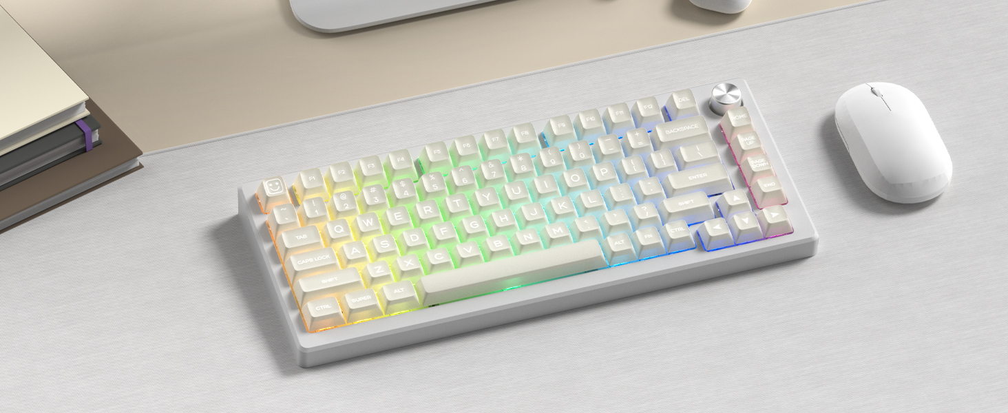 WOMIER White Jade Translucent Keycaps 140 Keys Double Shot PBT Key Caps ...