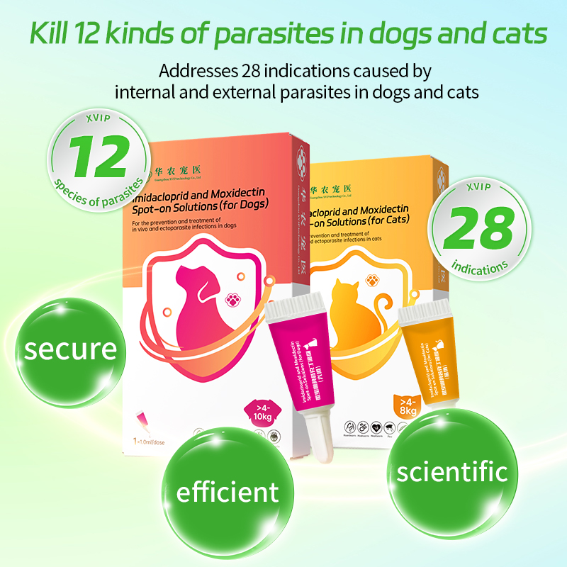 Xvet Dr Cat Dewormer Cat Flea Cat Ticks Lices Mites Ear Mites ...