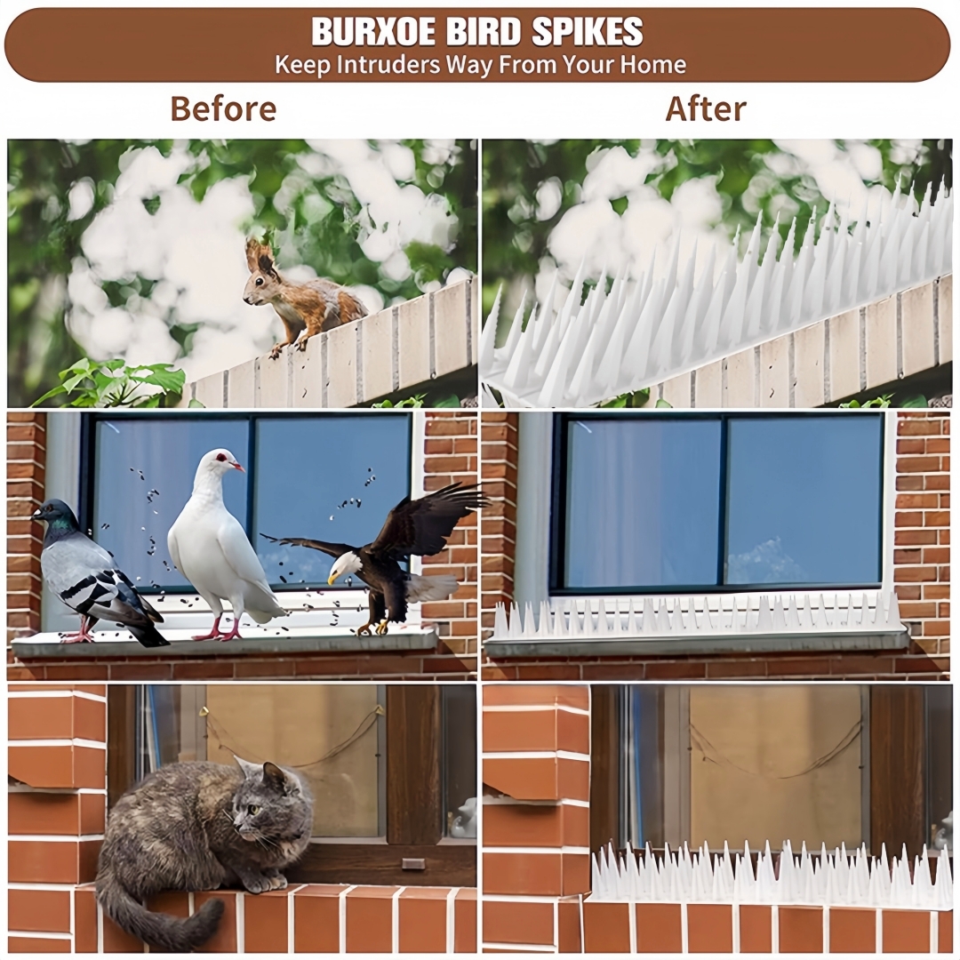 [Mahaba] 12Pcs Anti Bird Spike Bird Repellent Wall Anti Cat Spike Fence ...