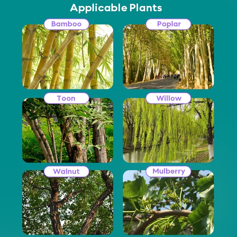 【wholesale discount available for consultation】Effective weed control ...