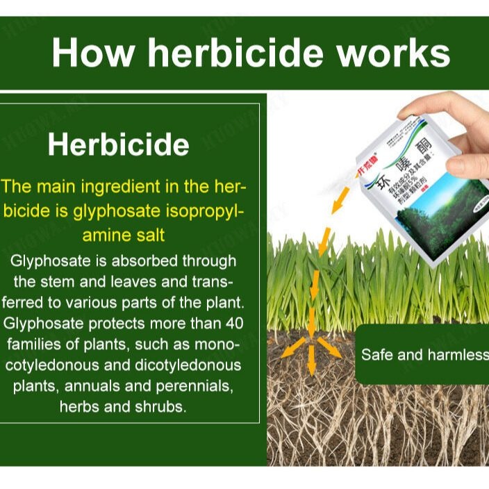 【wholesale discount available for consultation】Effective weed control ...
