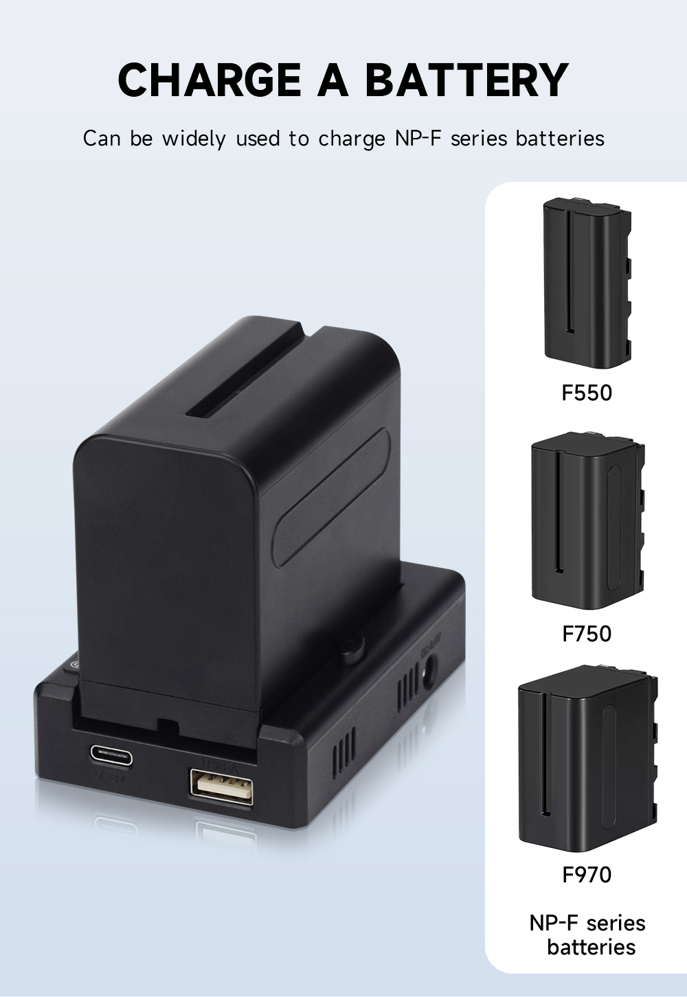 Cityork NP-F Universal Battery Charger Battery Adapter For NP-F550 F750 ...