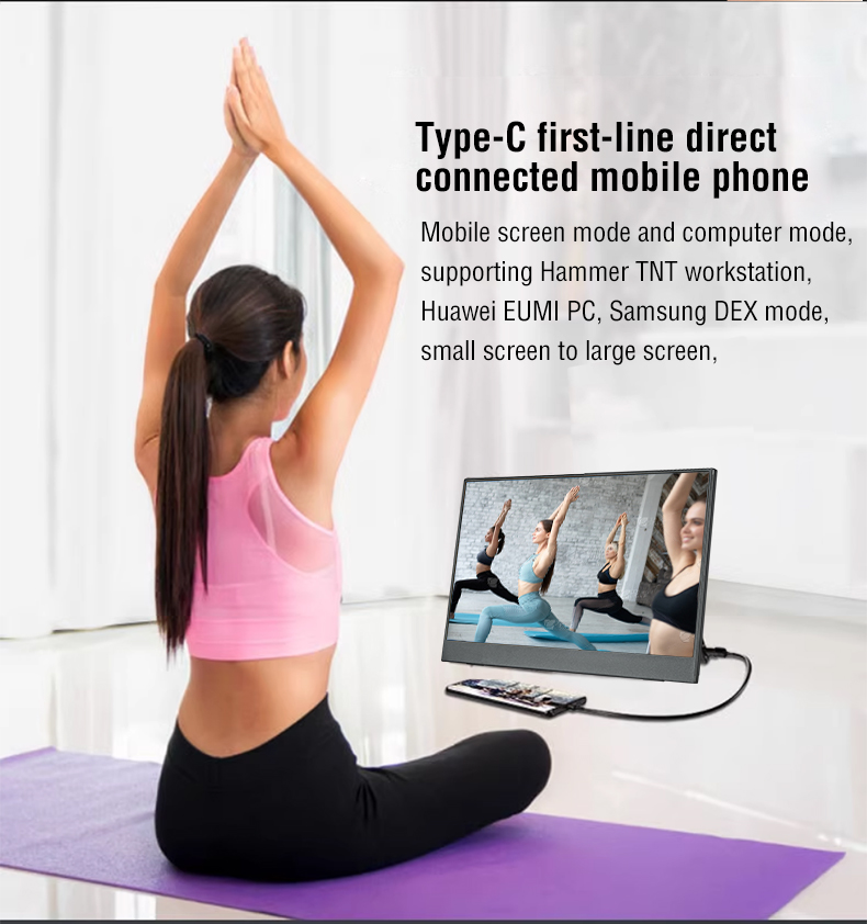 Anmite 14" Touch Portable Monitor 1080P for Laptop Usb Type-c HDMI ...