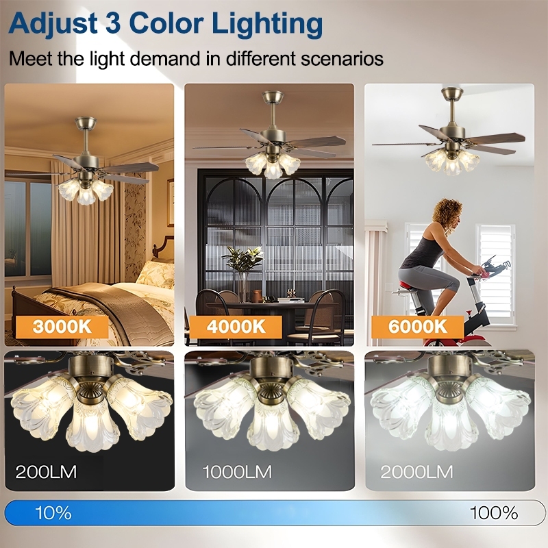 Wooden Ceiling Fan With Light 6 Speed Remote Control Ceiling Fan Light ...