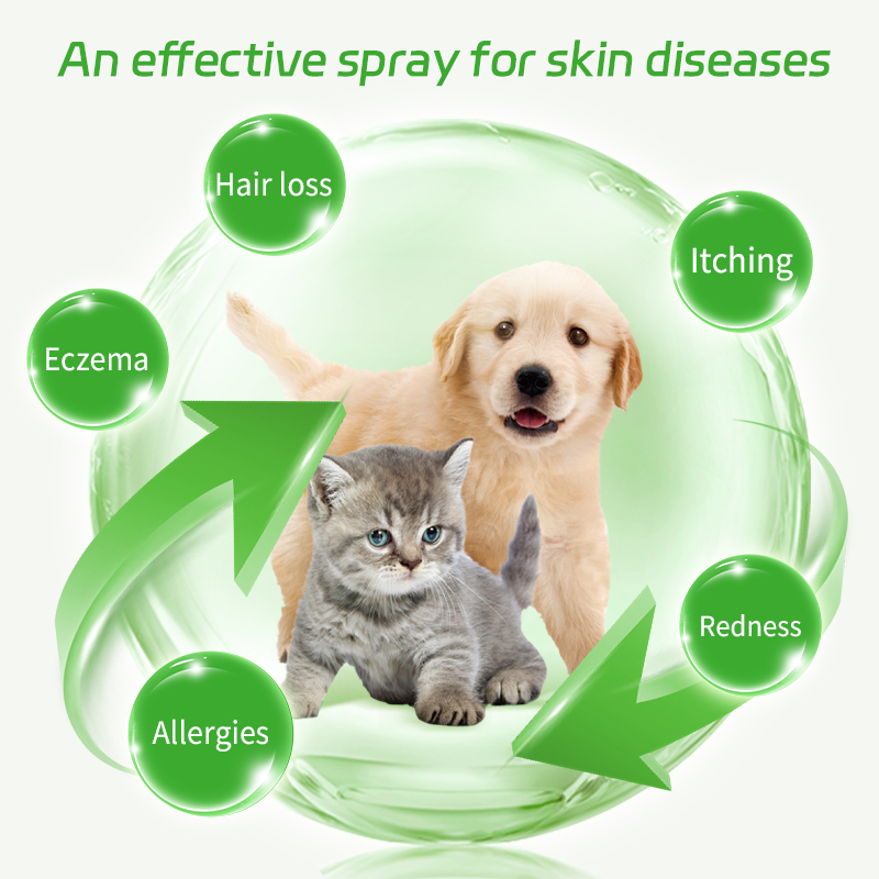 Xvet Dr Pet Skin Disease Spray For Dog And Cat 100ml Remove Ringworm ...