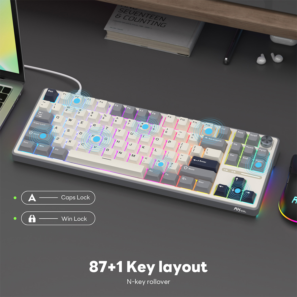 Royal Kludge RK R87Pro Half Grey 87 Key Gaming keyboard 80% With knob ...
