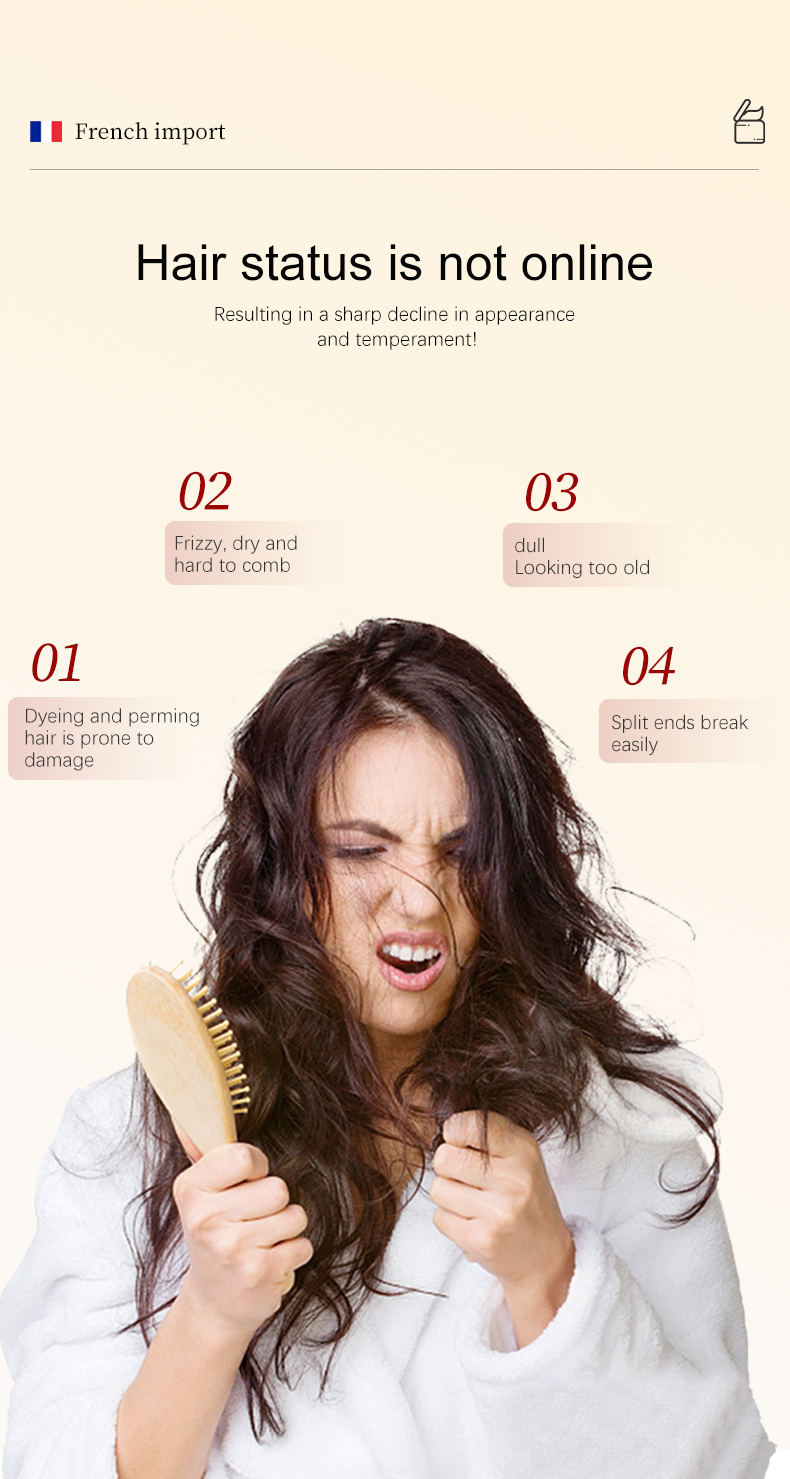 Dr.ville Hair Conditional Mask Premium Repair Mask Hair Treatment (500g ...