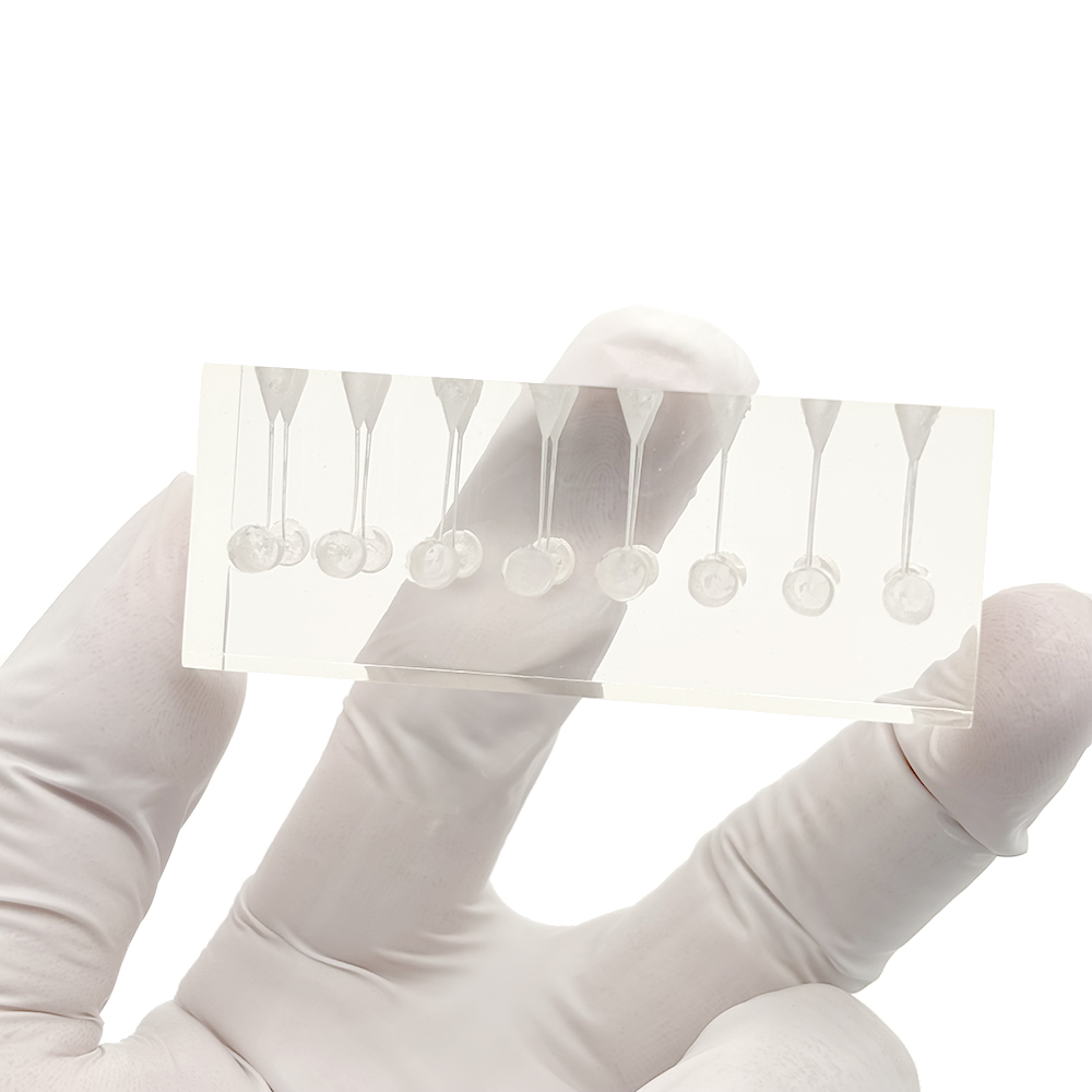 16 Hole Dental Education Teaching Teeth Model Endodontics Root Canal ...