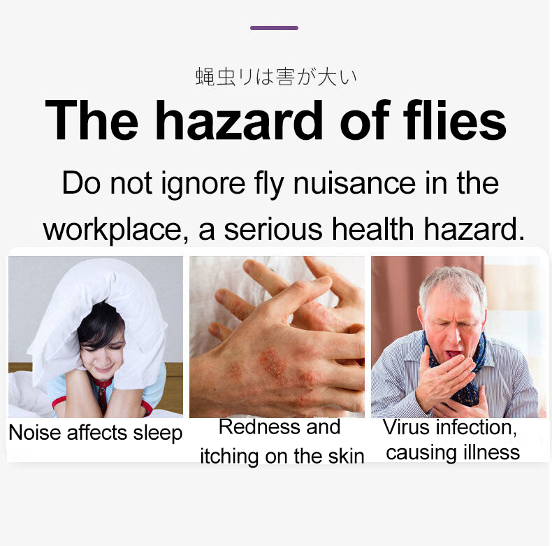 1 pack of fly powder kills 1 million flies READY STOCK Fly Killer Flies ...