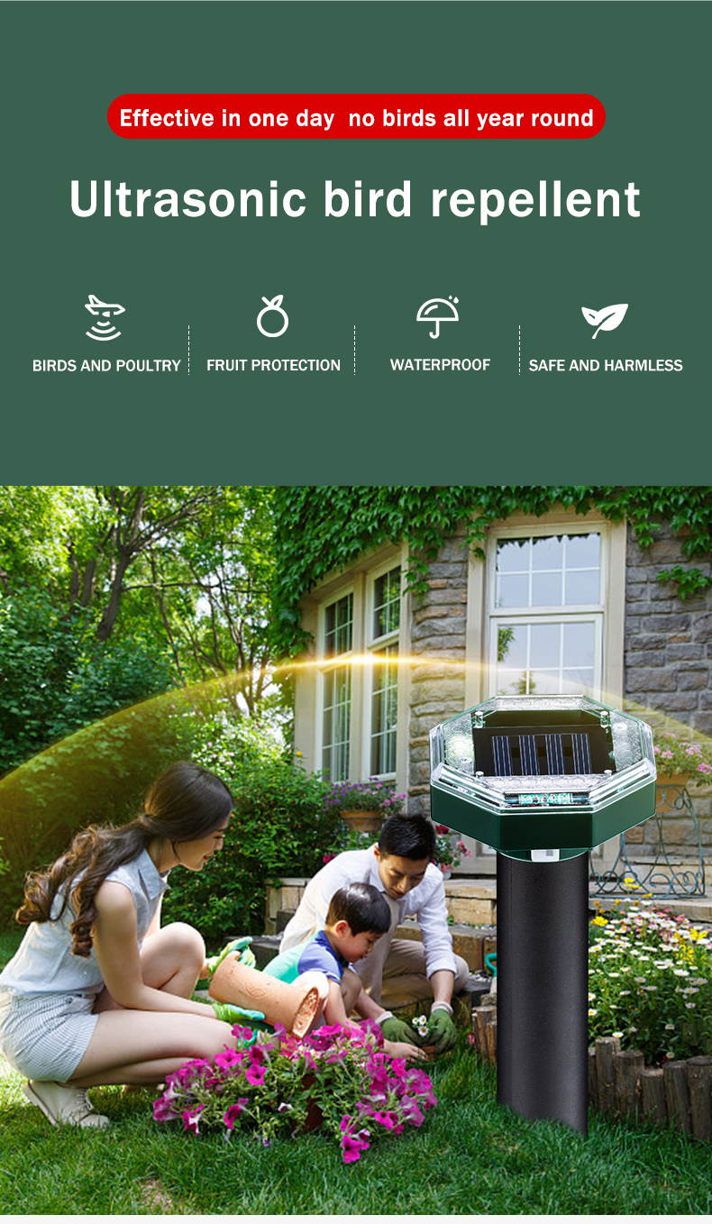 No Birds within 10,000 meters Bird repellent Efficient and safe Bird ...