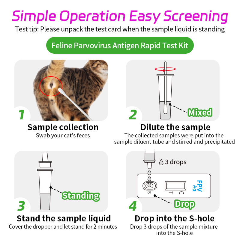 Xvet Dr Pet Test Kit FPV RBV Test Paper For Cat Feline Parvovirus ...
