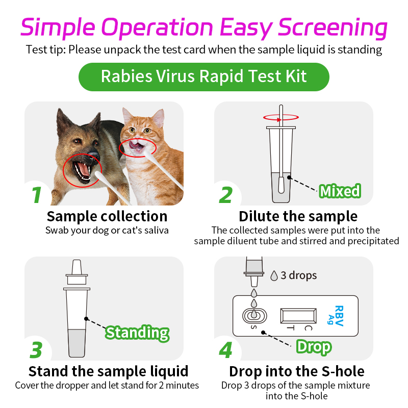 Xvet Dr Pet Test Kit RBV Test Paper For Dog and Cat Rabies Virus Rapid ...