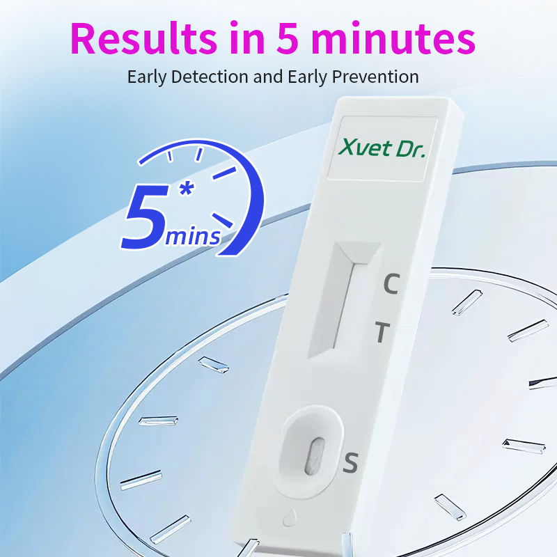 Xvet Dr Pet Test Kit RBV Test Paper For Dog and Cat Rabies Virus Rapid ...