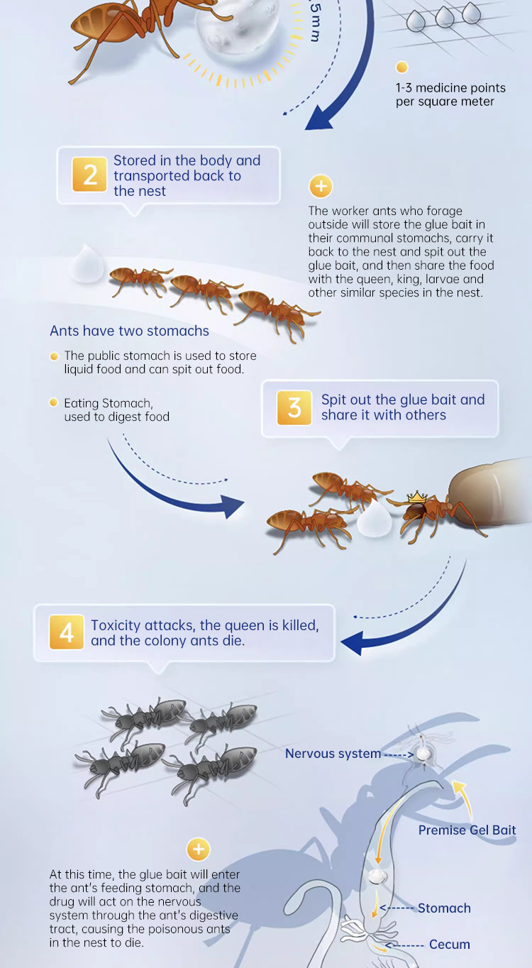 BAYER PREMISE Ant Gel Bait Ant Poison/terro liquid ant killer/BAYER ...