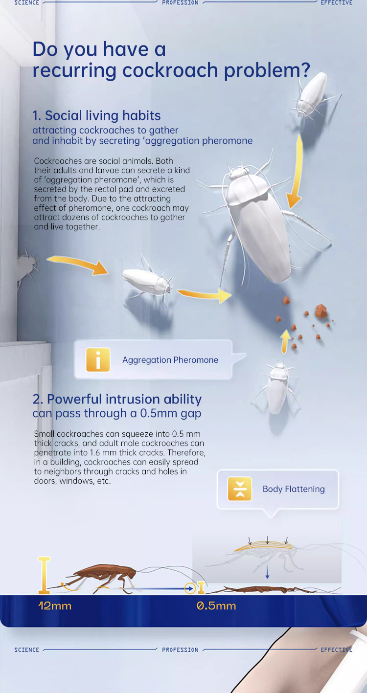 BAYER PREMISE cockroach killer Gel Bait/ Cockroach Killing /Cockroach ...