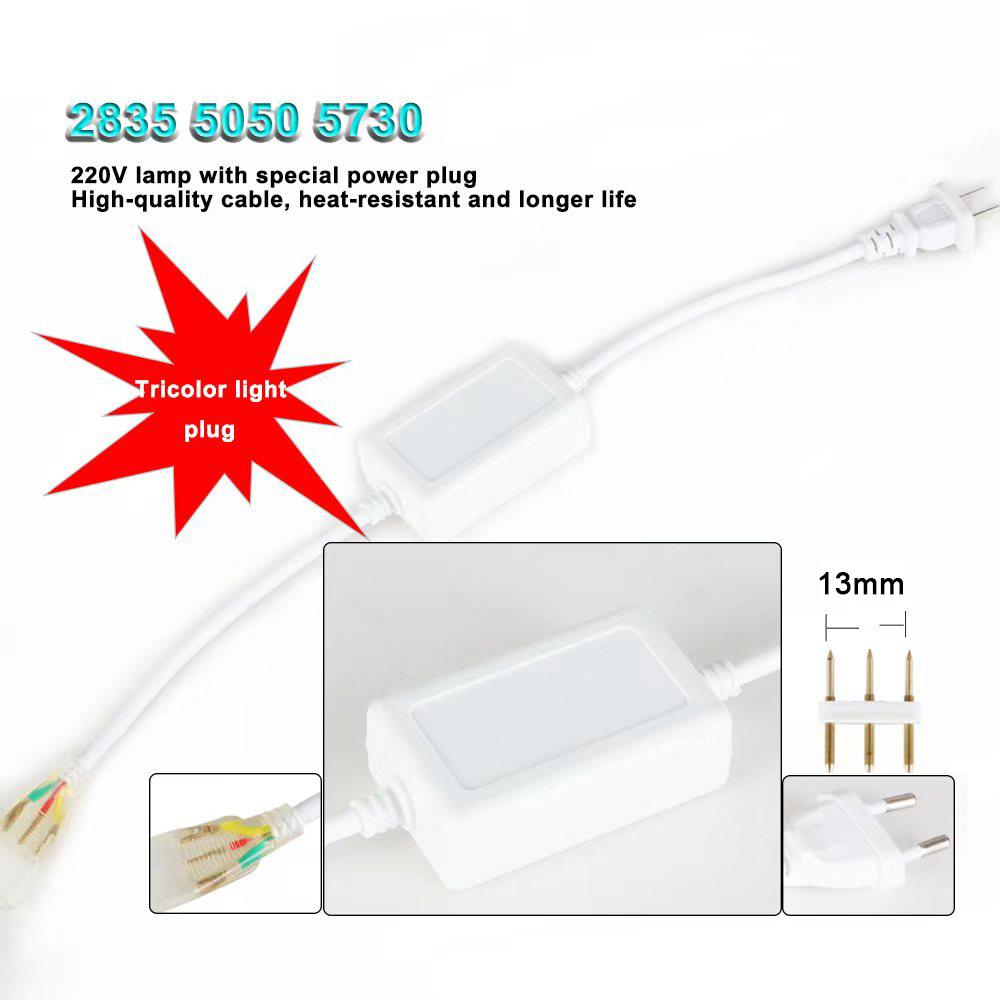 220V Neon Light RGB Controller EU Plug IR 24Key Remote Controller for ...