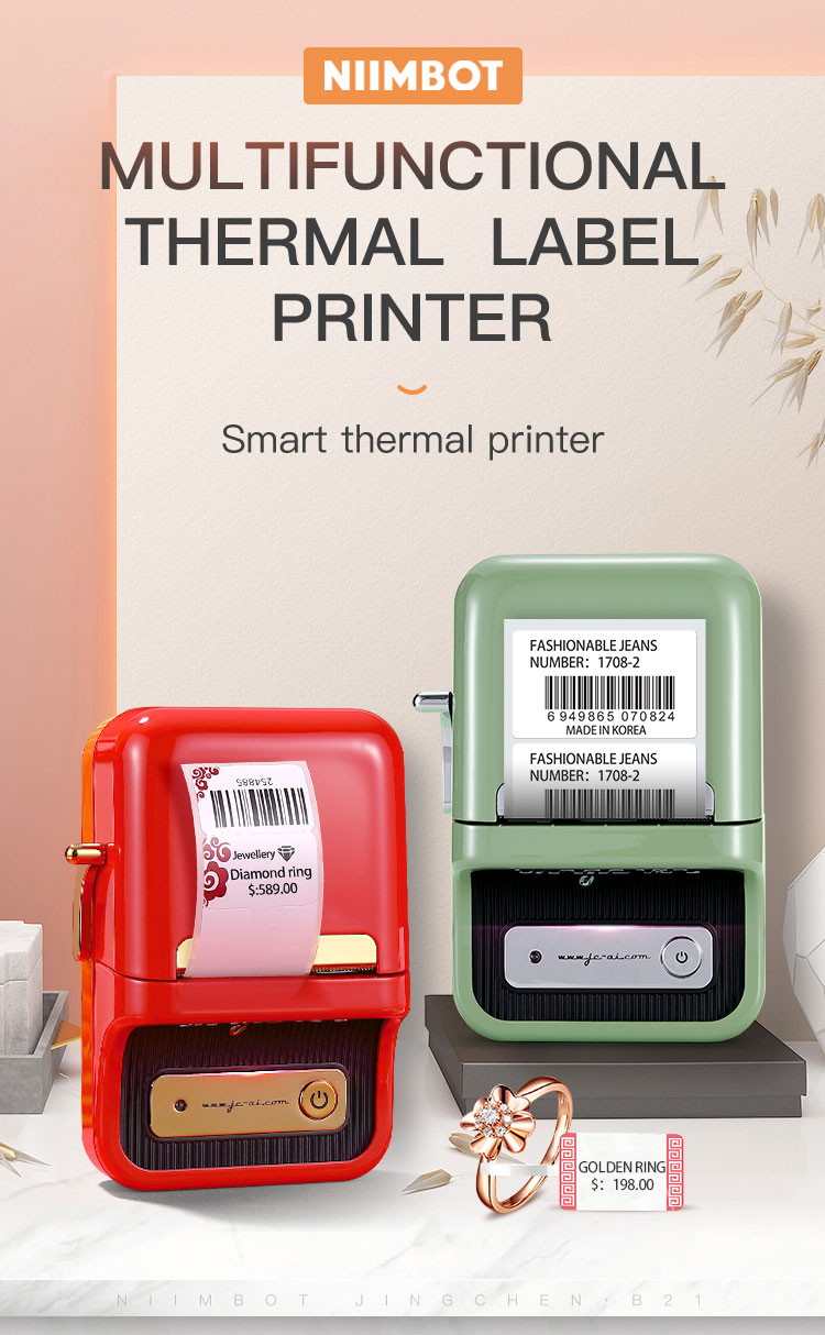 NIIMBOT B21 Newly Upgraded HD Version 300dpi Label Printer B21PRO ...