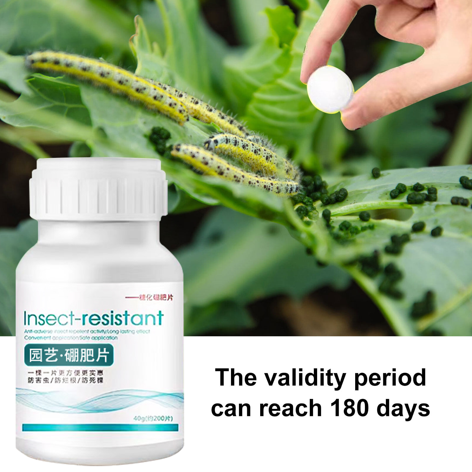 No pests for 10 years Plant Insect Resistant Tablets 200ps Gardening ...