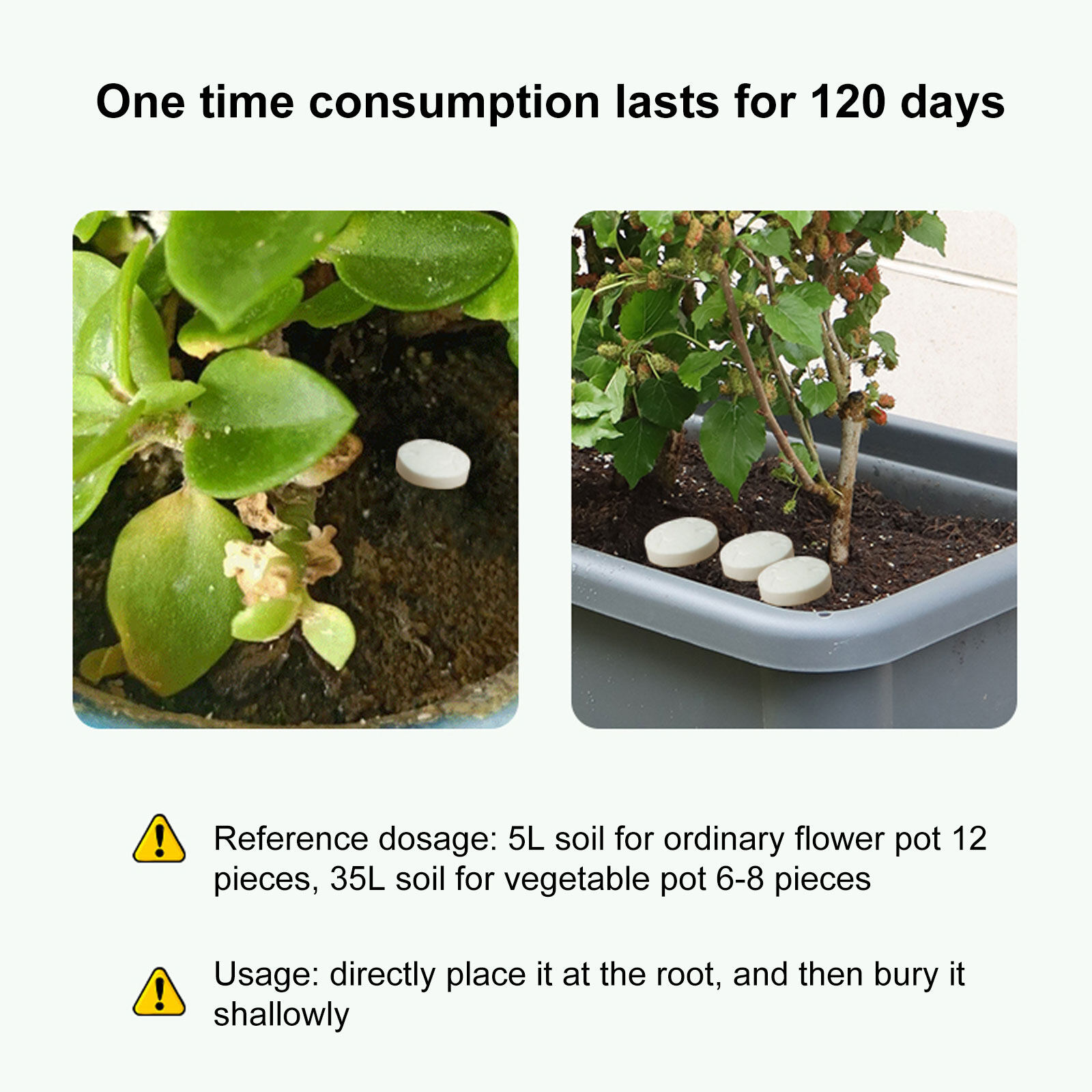 No pests for 10 years Plant Insect Resistant Tablets 200ps Gardening ...