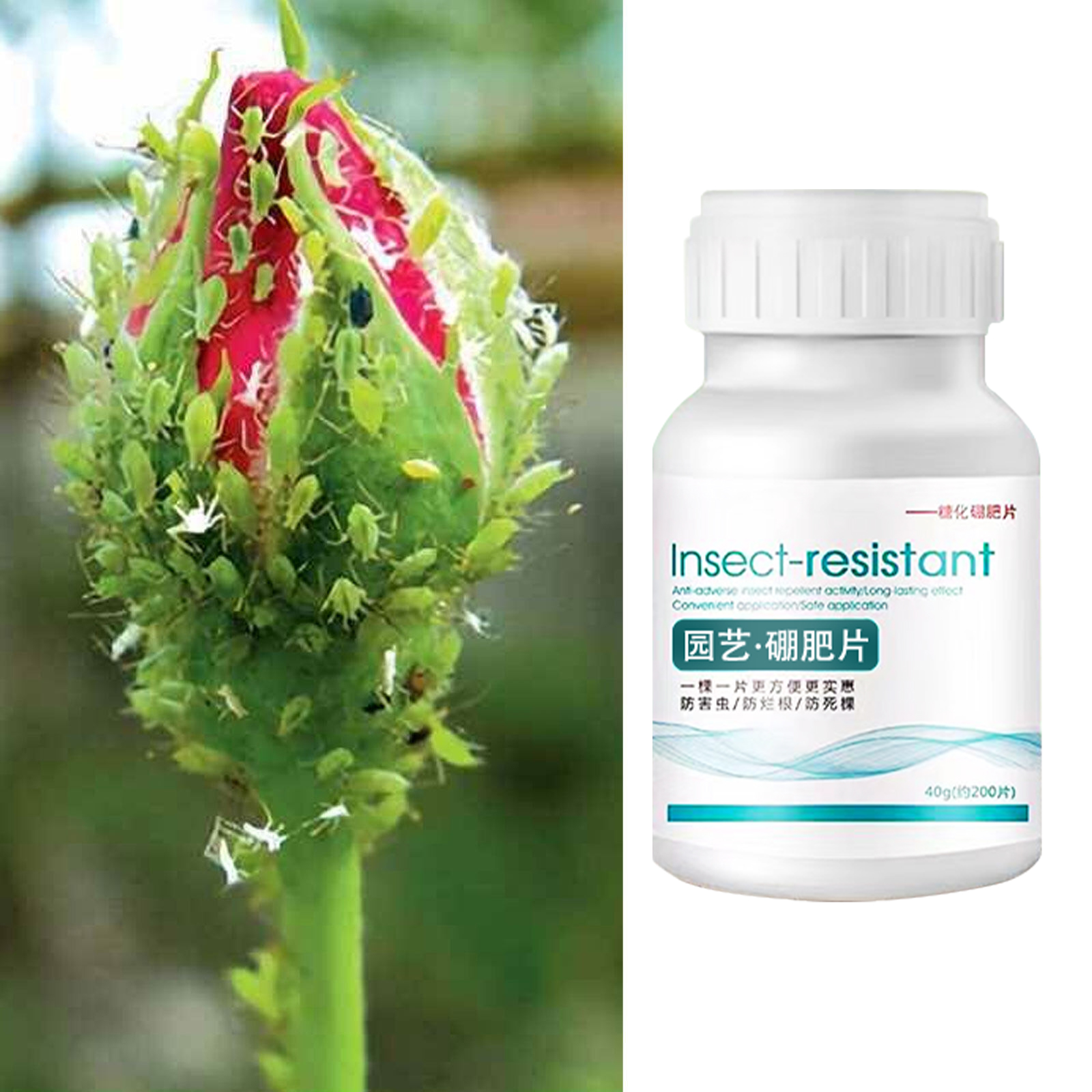 No pests for 10 years Plant Insect Resistant Tablets 200ps Gardening ...