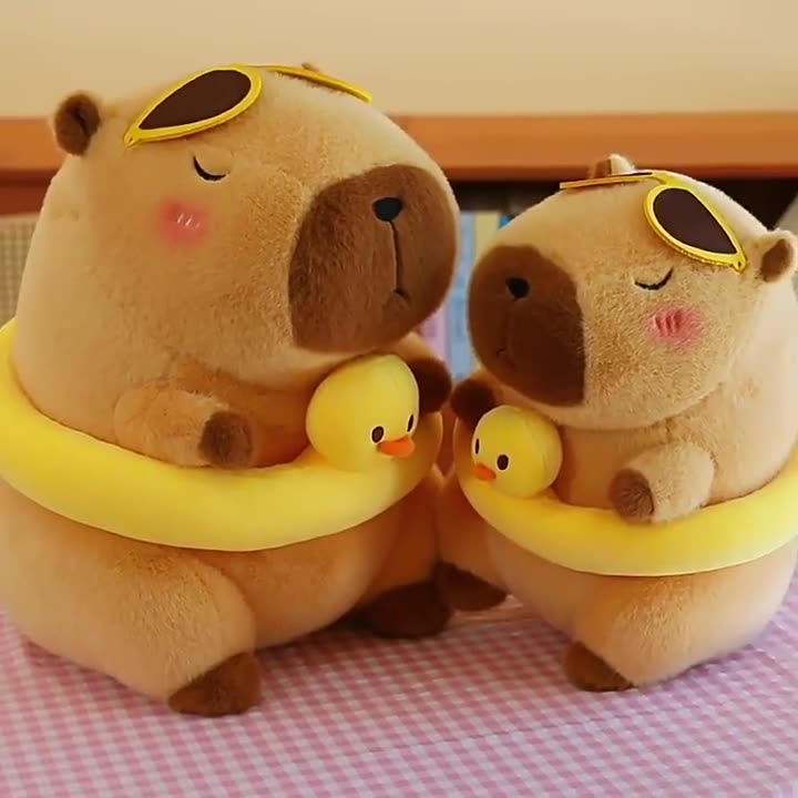 Capybara Beach Teddy Bear Capybara High Quality Duck Float Capybara ...