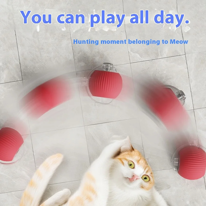 (Local Shipment) Automatic Cat Interactive Ball Toy Super Drive Cat ...