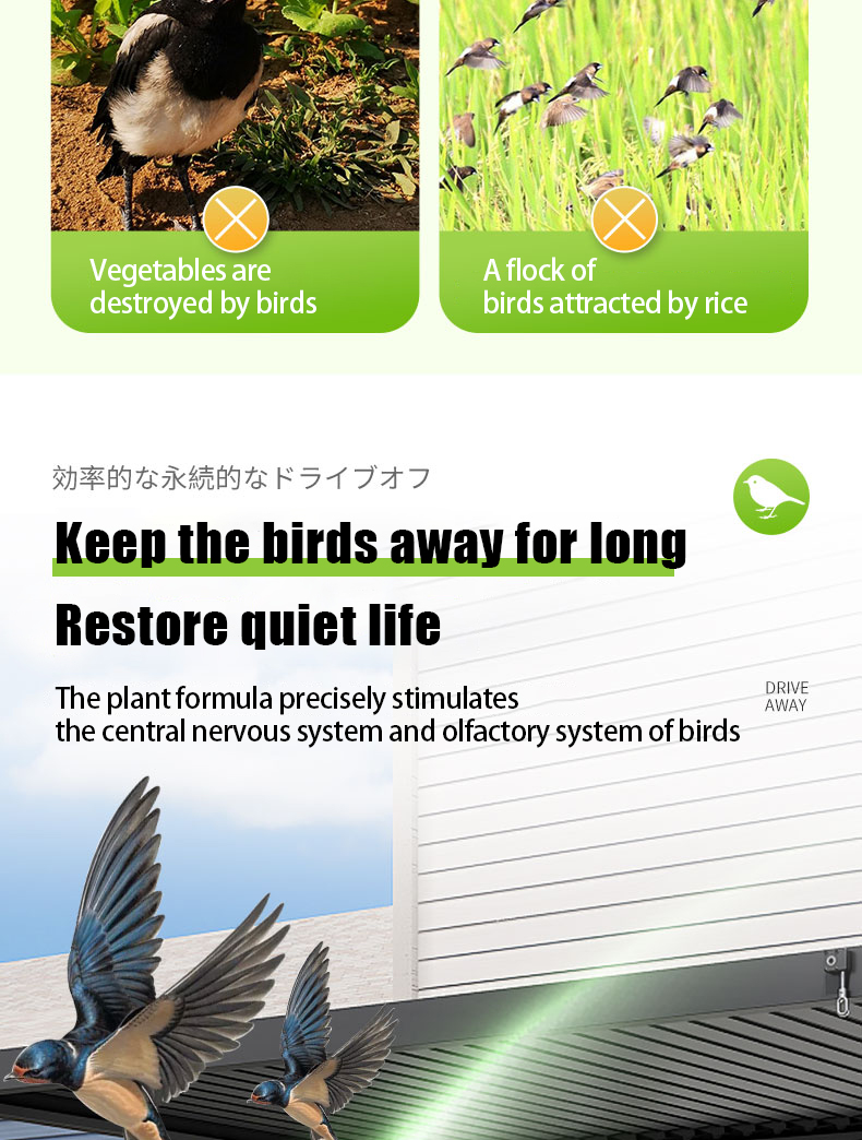 buy 1 get 1 SG bird repellent bird repellent outdoor halau burung Plant ...