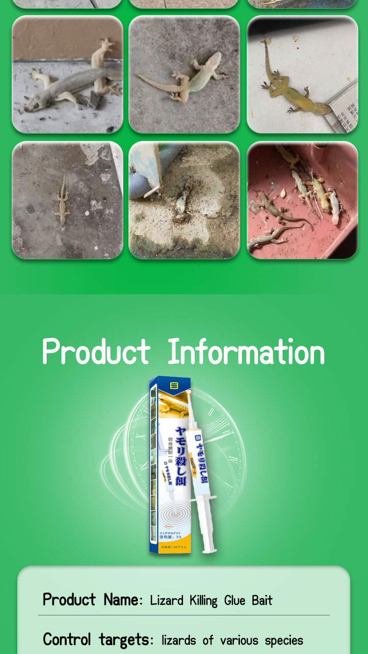 Easily solve lizard problems LGD Lizard gel bait Lizard killer Lizard ...