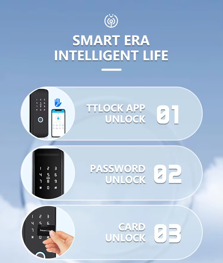 Smart Double-Sided Fingerprint Digital Lock with Bluetooth, TTLock App ...