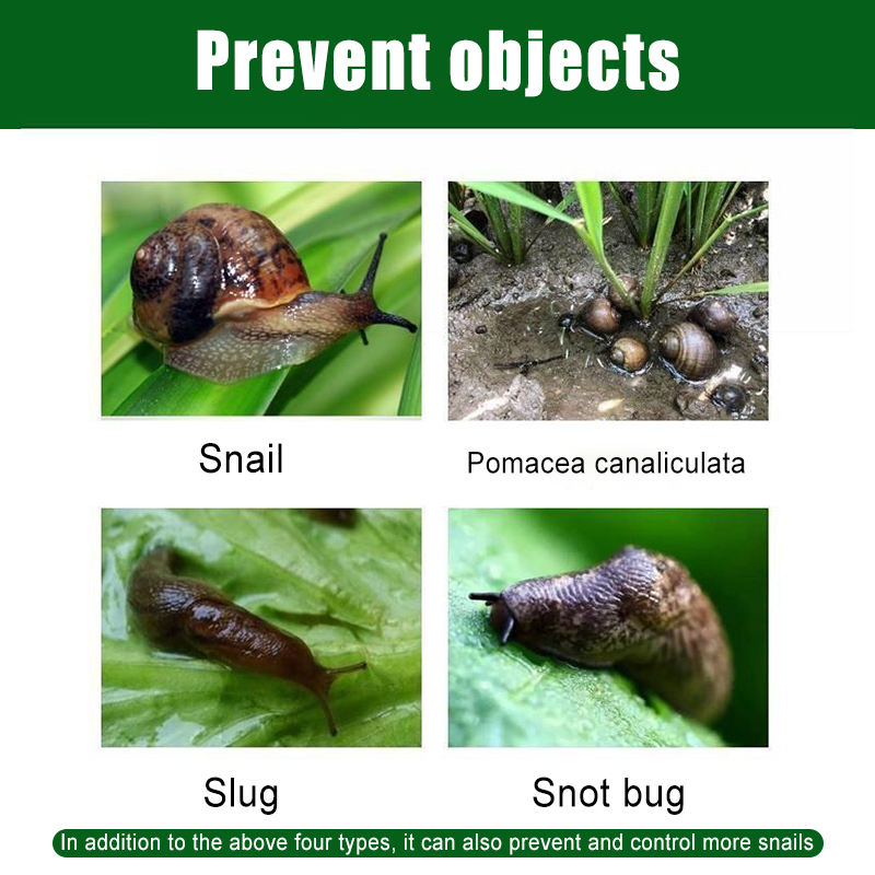 【All the snails are dead】LGD Racun siput babi Ubat siput Snail Killer ...
