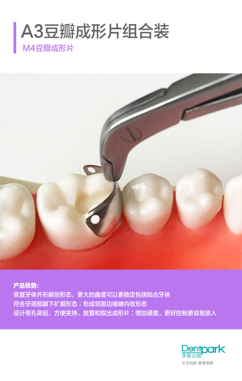 Dental Sectional Matrix A3 System Dental Sectional Contoured Metal ...