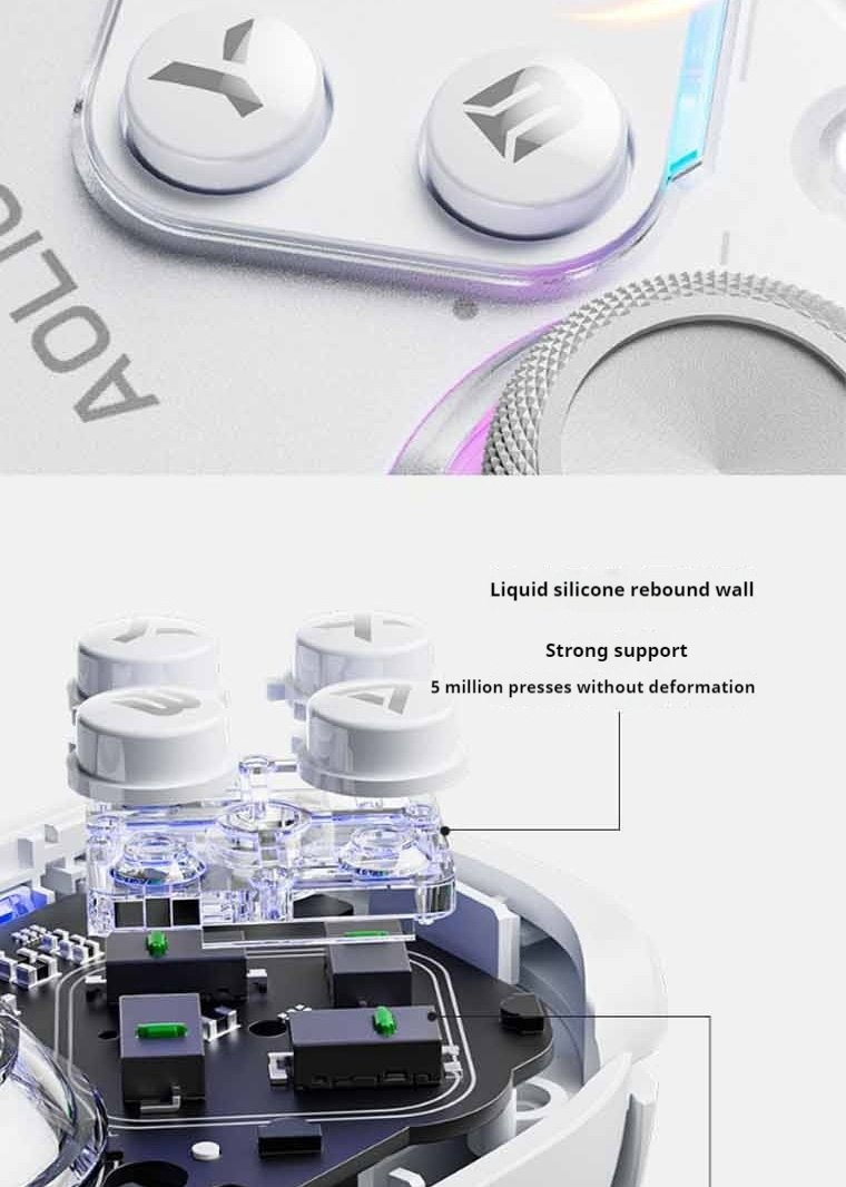 AOLION J20 Knight Switch Game Controller Nintendo NS Left and Right ...