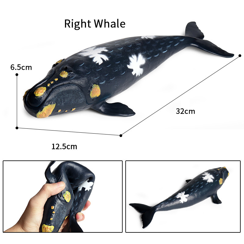 Simulated marine animal model soft rubber large size killer whale blue ...