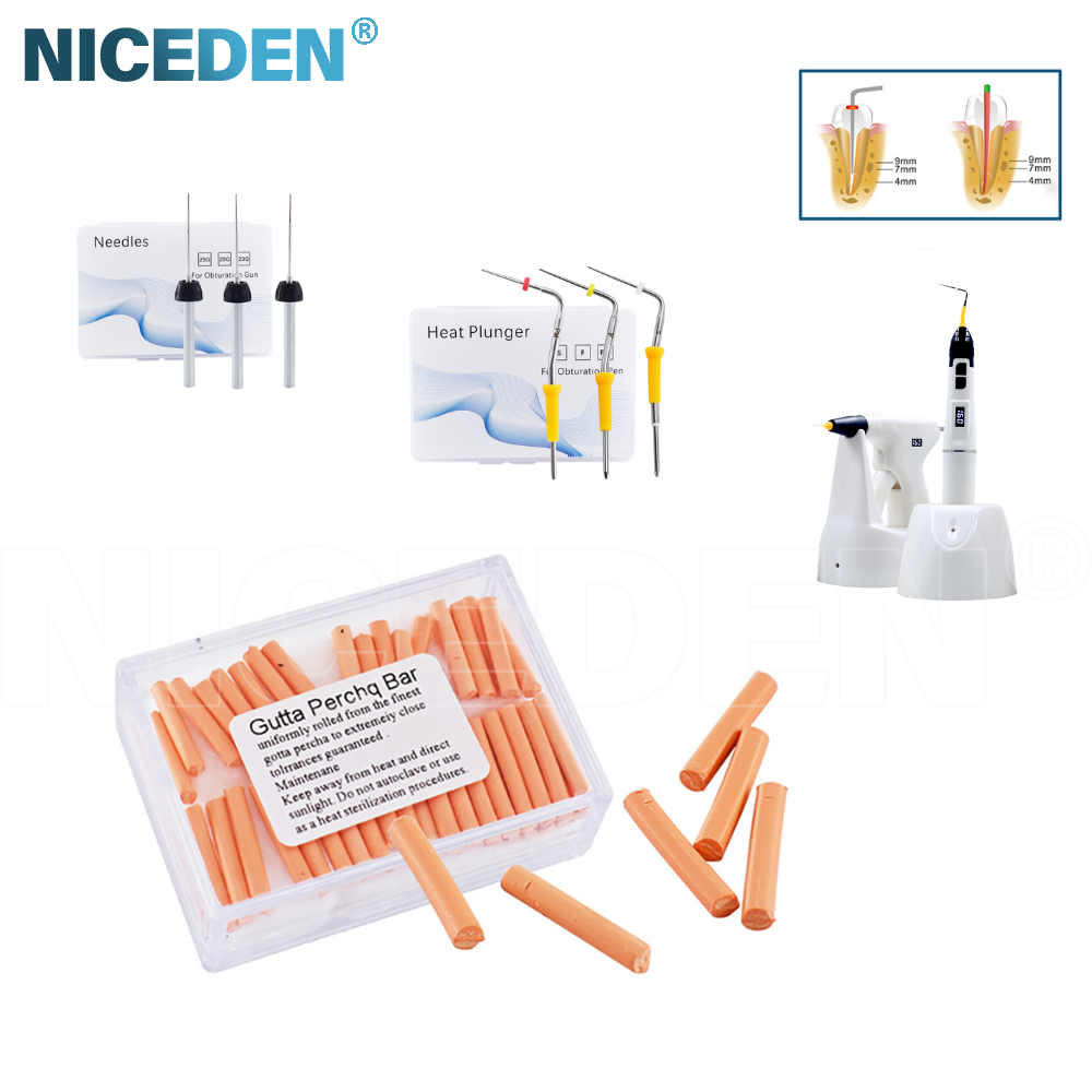 NICEDEN Dental Hot Melt Filling Gun Pen Spare Accessories Needles Heat ...