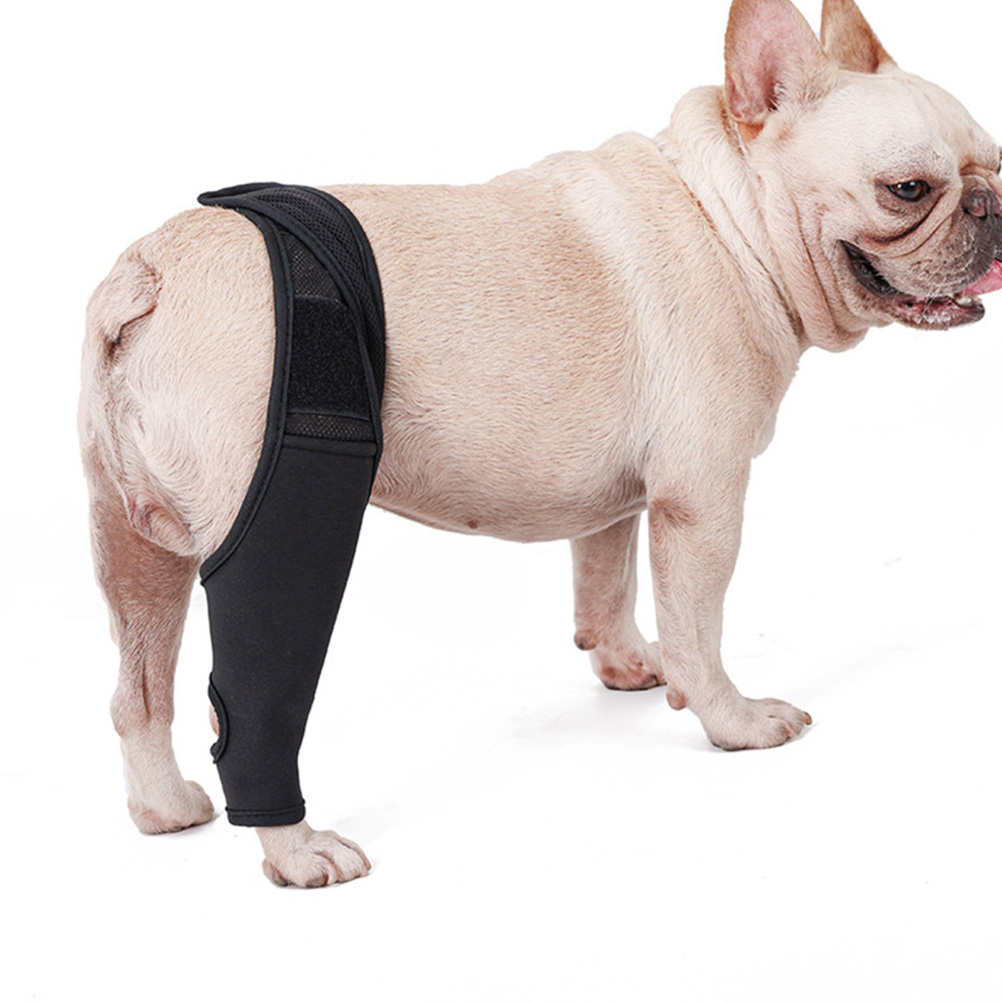 Comfy Brace Dog Leg Sling Large Dogs Hind Support Paw Balm Lick Safe ...