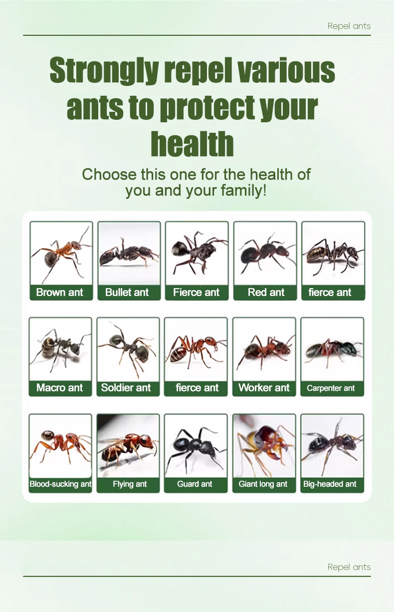 🇲🇾【Msia 𝗦𝗧𝗢𝗖𝗞】 Ants Repellent Magic Box Ant Killer Safe & Non-toxic ...