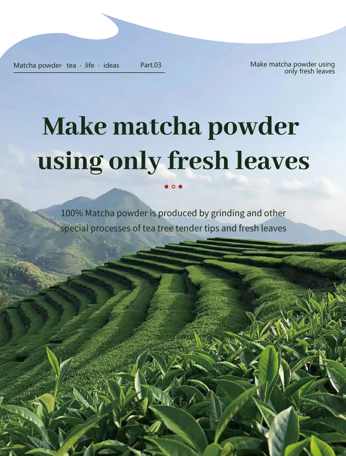TEANAGOO Matcha Powder Ceremony Grade 100% natural matcha tea first ...