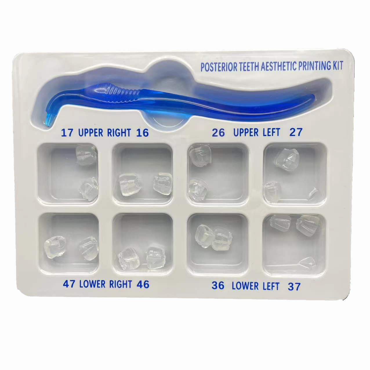 Dental Mould Veneer Kit Anterior Front Teeth Partner Kit Posterior ...