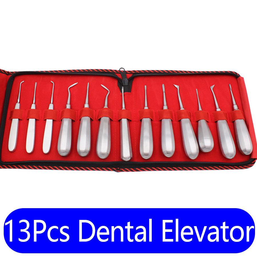 13pcs/set Dental Elevator Set, Teeth Extraction Tooth Extracting ...