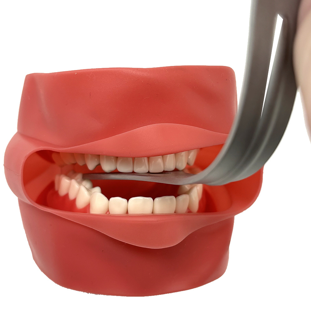 Dental Stainless Steel Lingual Isolation Retractor Mouth Retractor ...