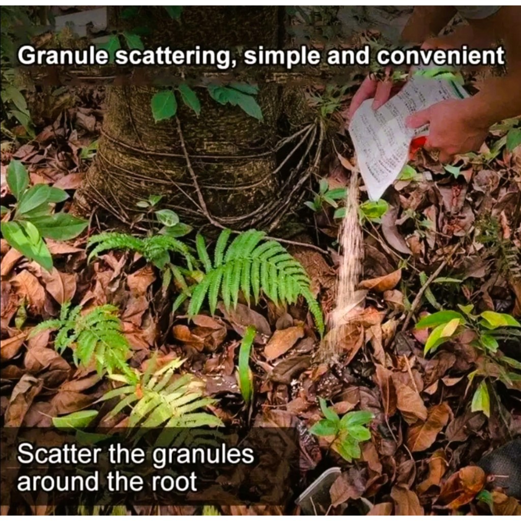 Big trees rot at the roots Racun pokok kayu besar 500g Racun pokok ...