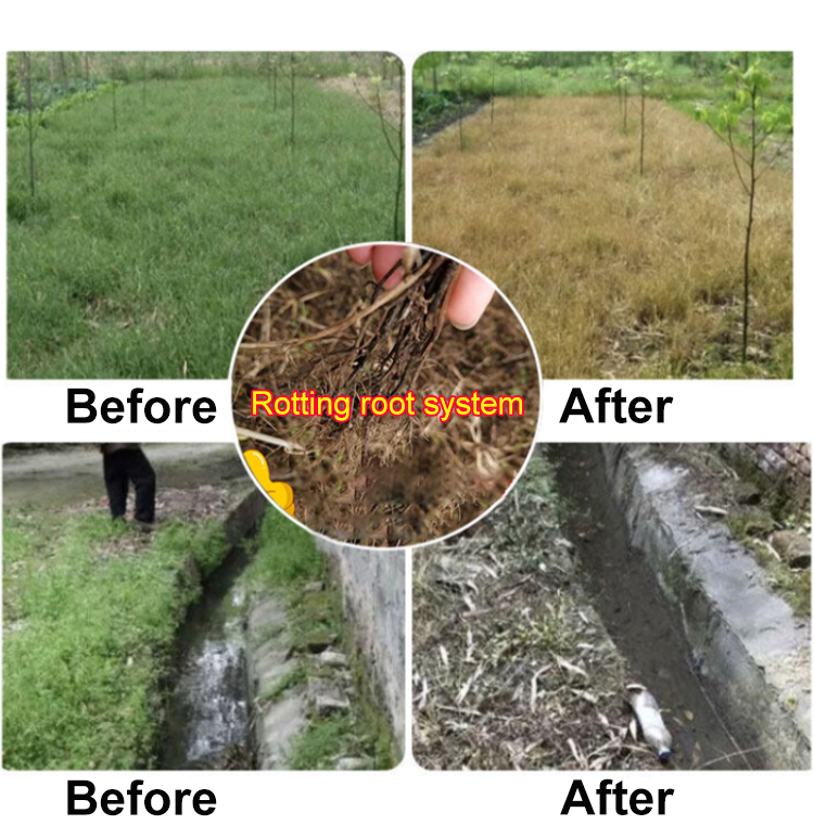 racun rumput sambau power [Buy 1 Free 1] racun rumput cepat mati weed ...